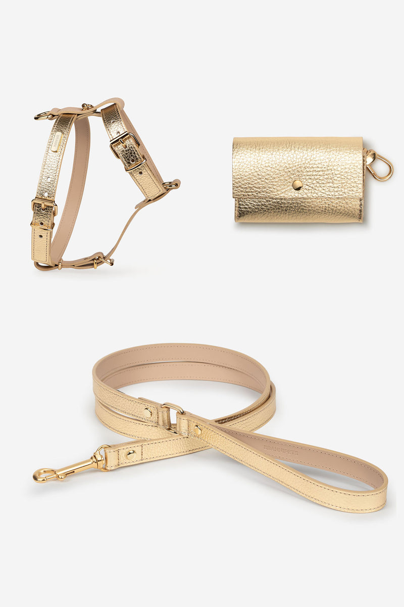 Golden Metal harness kit – Branni Pets